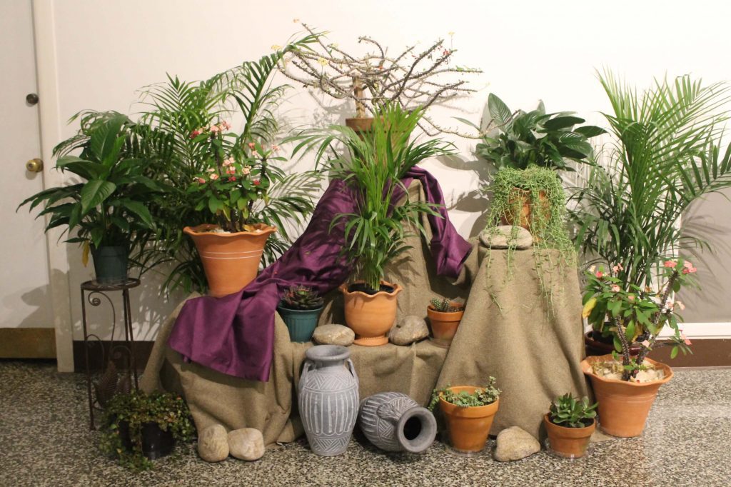 Church Environment Ministry – St. Patrick Catholic Church