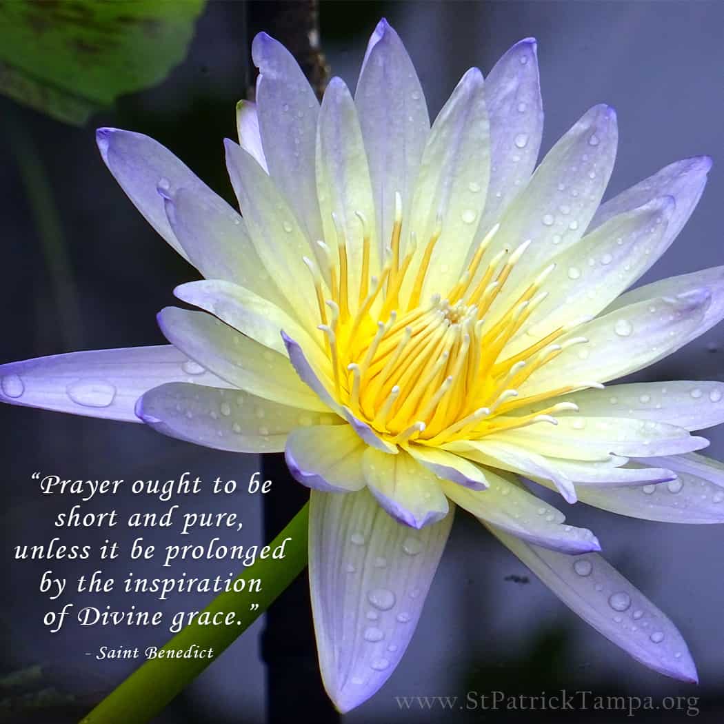 Summer Prayer & Meditation Series – 5 – St. Patrick Catholic Church